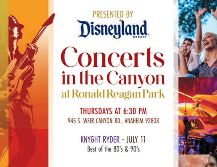 Your Favorite 80s (and 90s) Cover and Tribute Band | Knyght Ryder!