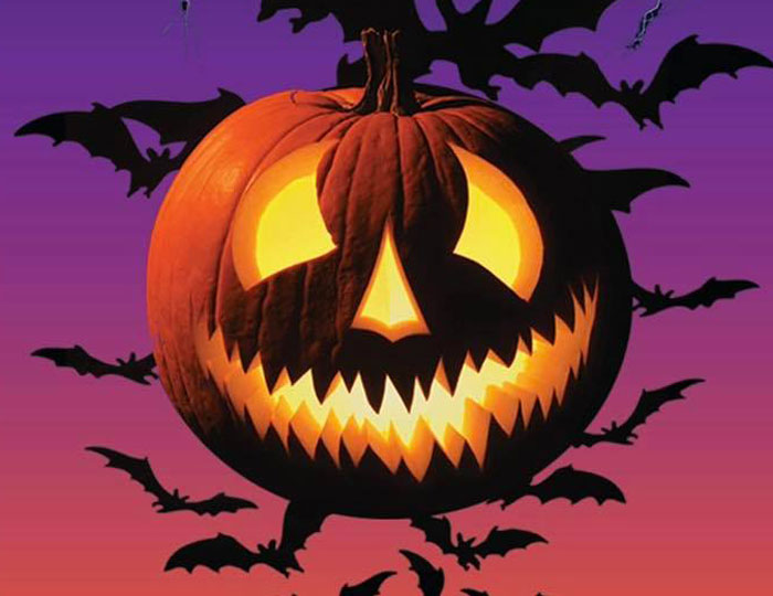 Your Favorite 80s (and 90s) Cover and Tribute Band | Knyght Ryder!